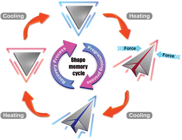 Shape memory polymers (SMPs)