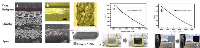 Multifunctional Nanocomposites